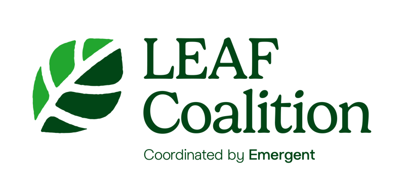 The LEAF Coalition at COP28