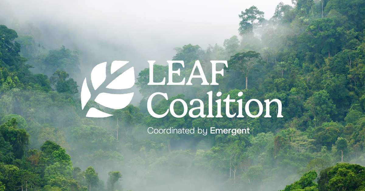 The LEAF Coalition at LCAW