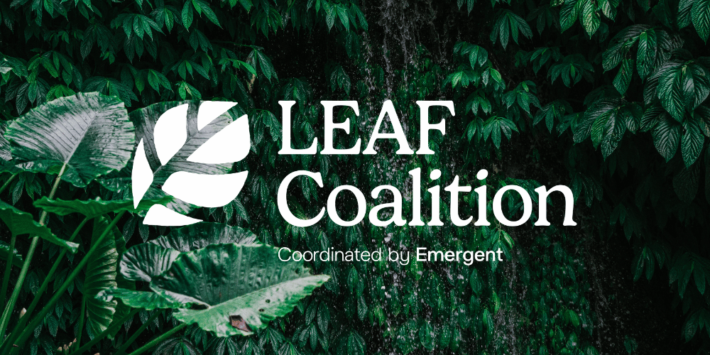 Accelerating high-integrity carbon markets