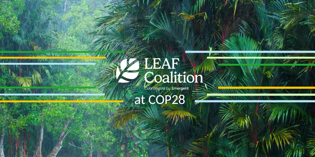The LEAF Coalition at COP28